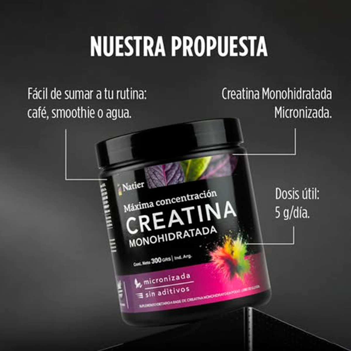 Natier Creatina Monohidratada Micronizada Suplemento X 300 Gramos ...
